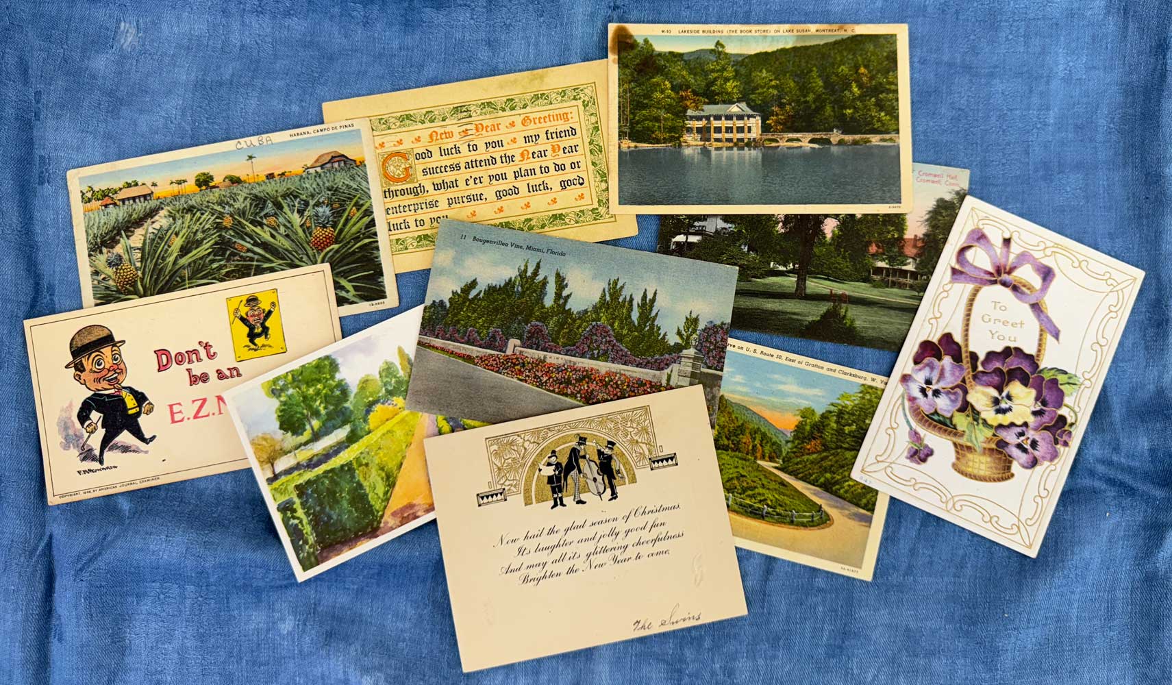 Vintage Postcard Colors 16pcs/pack Retro Wedding Cards Animals Gift
