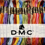 Embroidery Floss Collection: Quality DMC Threads